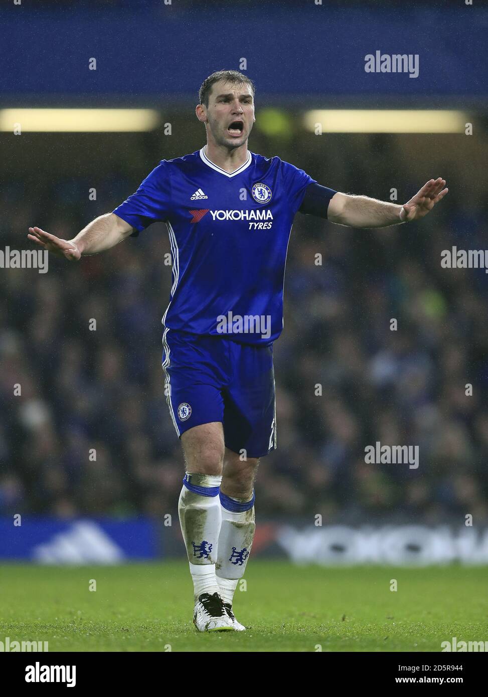 Branislav Ivanovic, Chelsea Stock Photo - Alamy