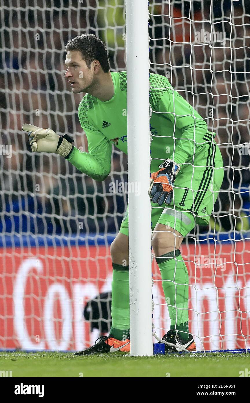 Chelsea goalkeeper Asmir Begovic Stock Photo - Alamy