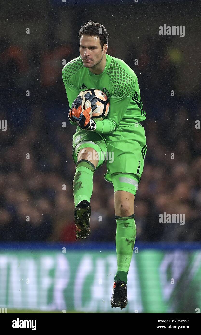 Chelsea goalkeeper Asmir Begovic Stock Photo - Alamy
