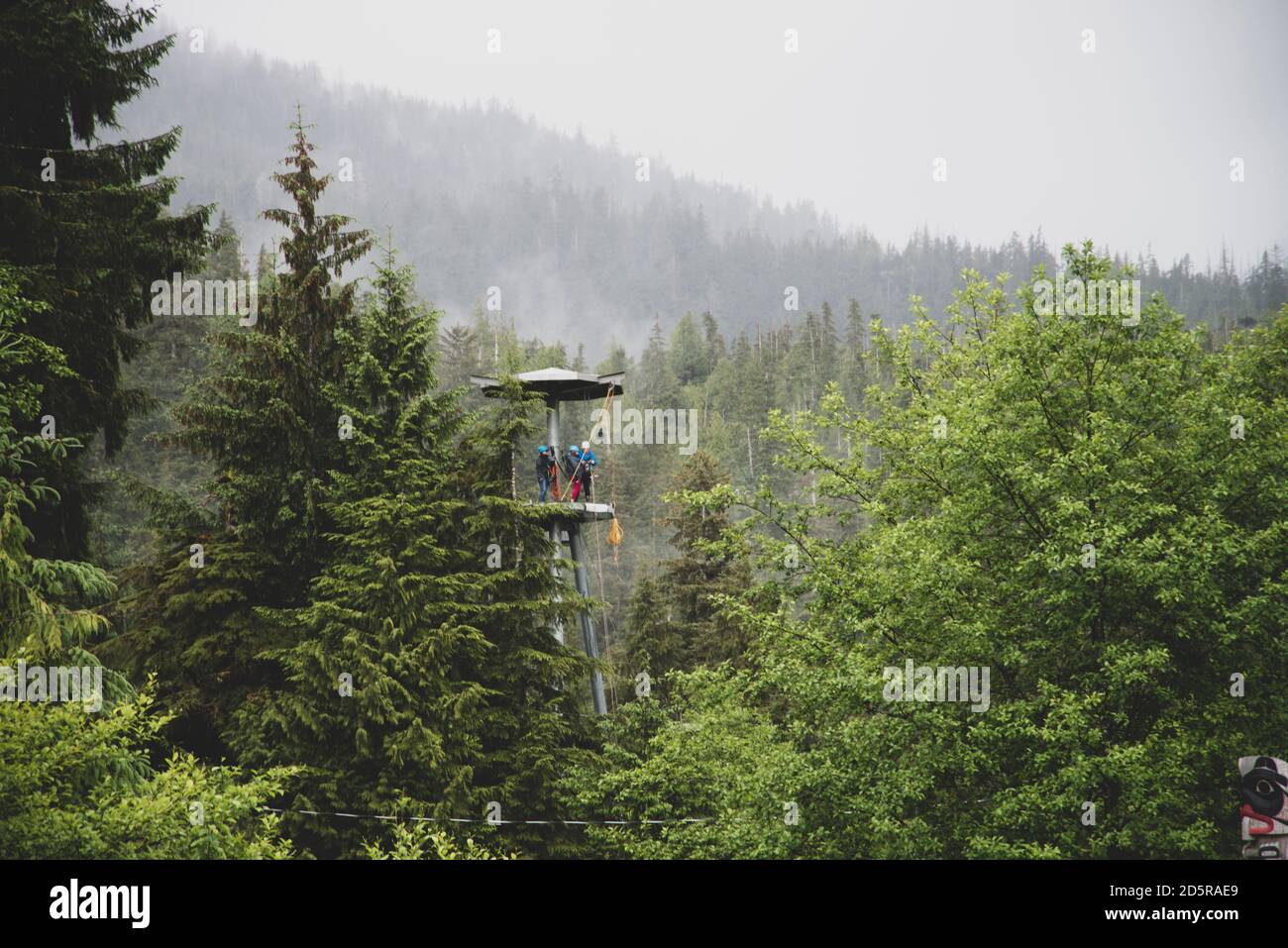 Zipline tower in Misty Alaska Tongass National Forest Stock Photo - Alamy
