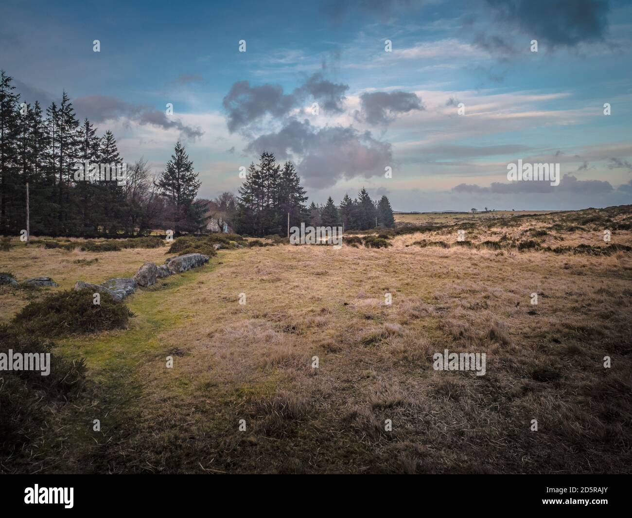 Fernworthy, West Devon, England Stock Photo - Alamy