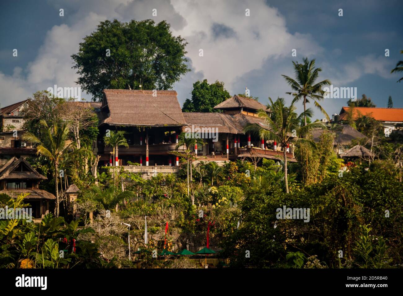 Hotels by the Campuhan Ridge Walk in Bali Stock Photo - Alamy