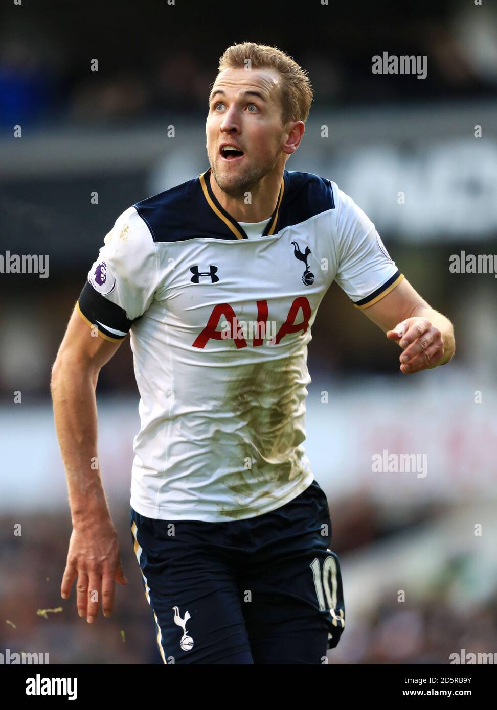 Tottenham Hotspur's Harry Kane Stock Photo - Alamy