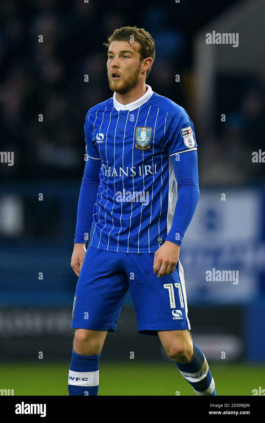 Sam Winnall, Sheffield Wednesday Stock Photo - Alamy
