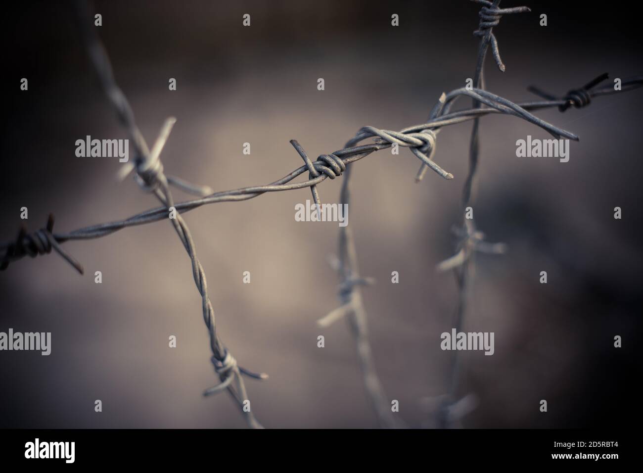 Barbed wire fence detail with shallow depth of field Stock Photo - Alamy