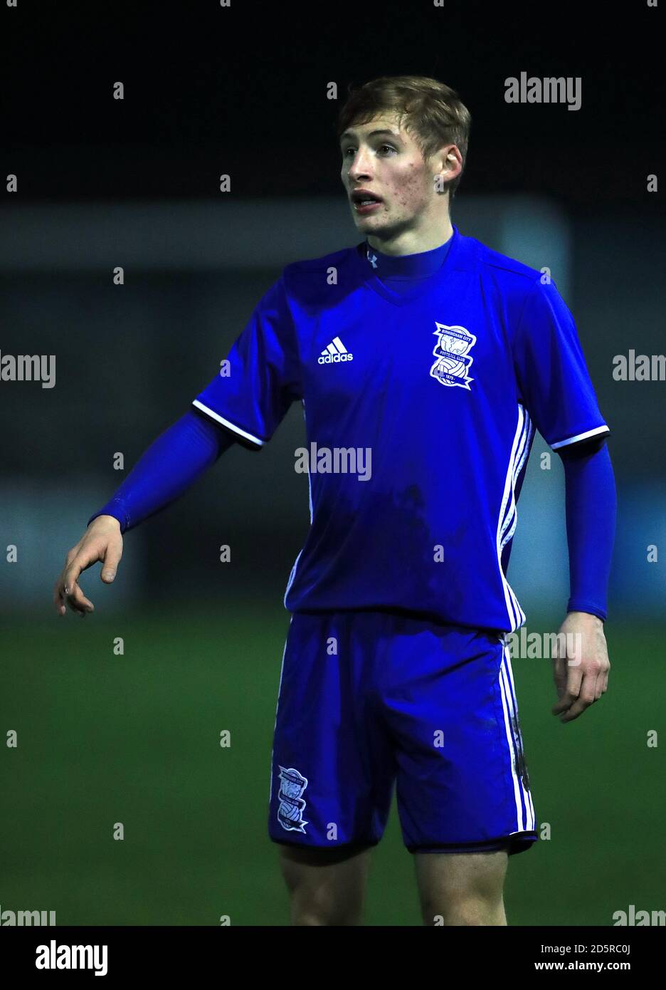 Matthew top half stock hi-res stock photography and images - Alamy