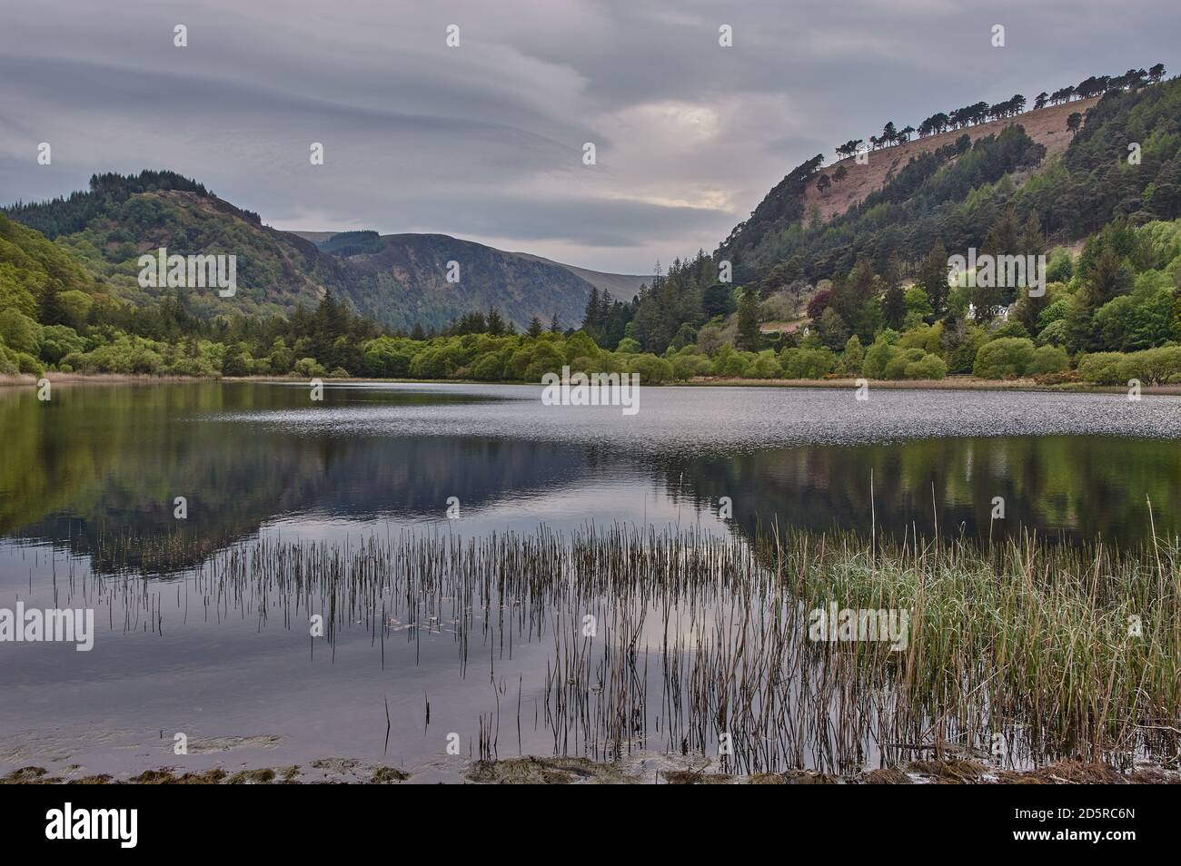 Wicklow nationalpark hi-res stock photography and images - Alamy