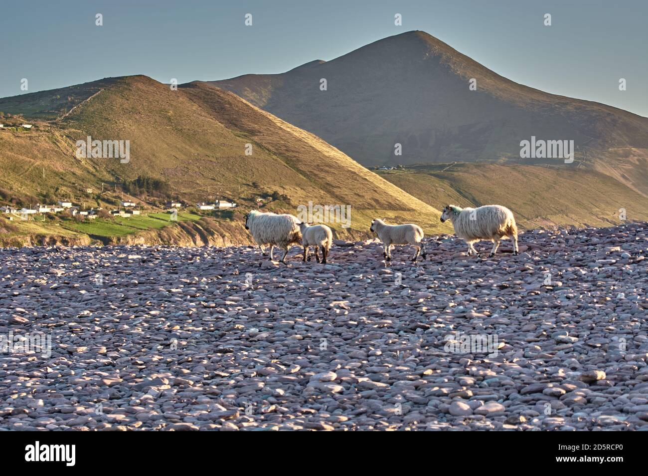 Rossbeigh strand hi-res stock photography and images - Alamy