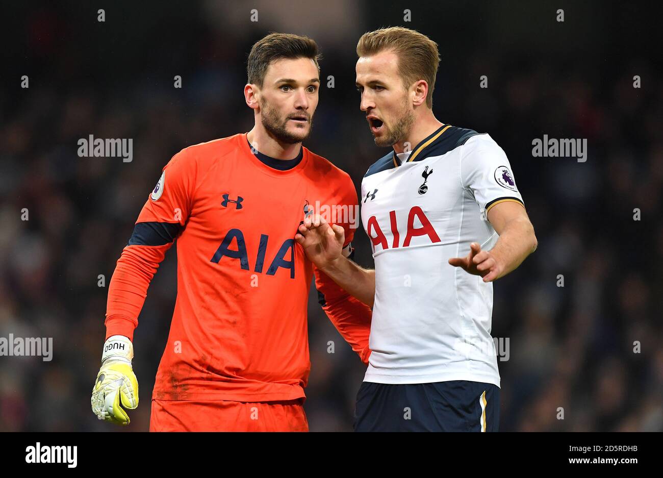 Tottenham Hotspur goalkeeper Hugo Lloris (left) and Harry Kane Stock ...