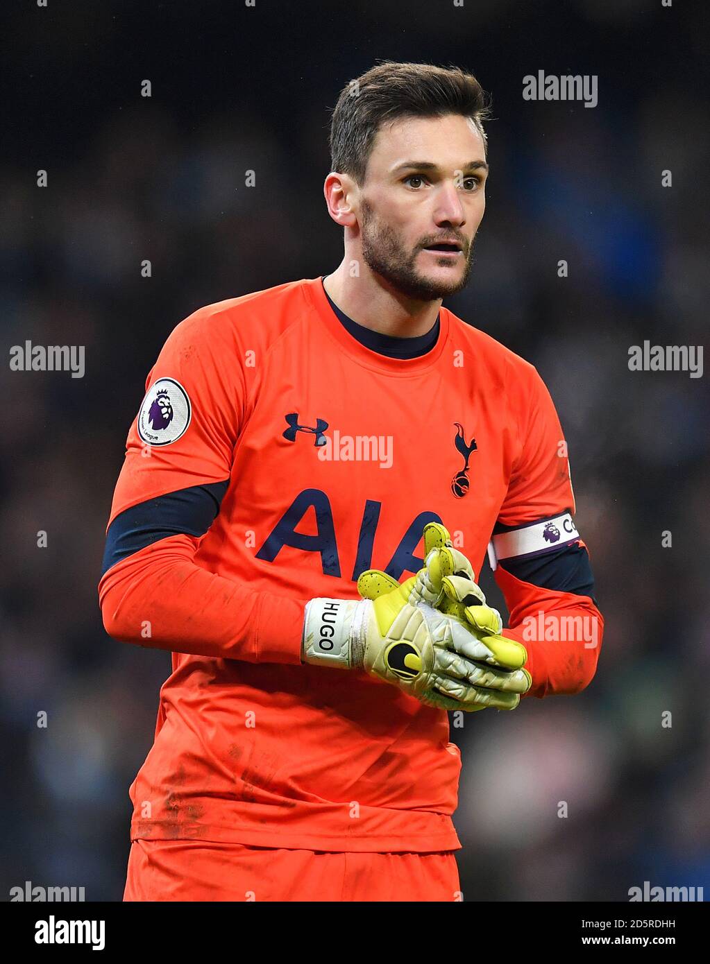 Tottenham Hotspur goalkeeper Hugo Lloris Stock Photo - Alamy