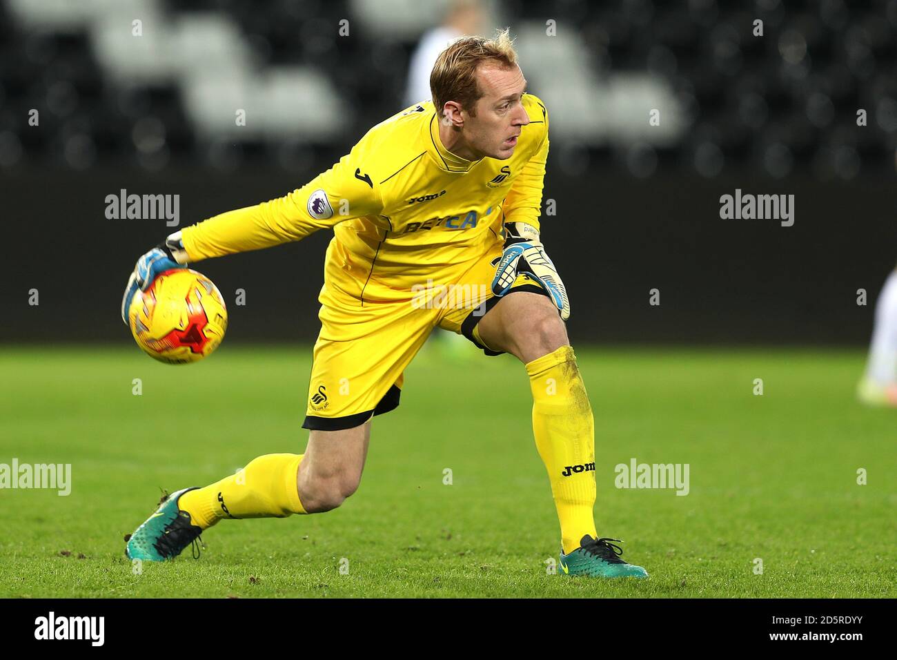 Swansea city goalkeeper gerhard tremmel hi-res stock photography and ...
