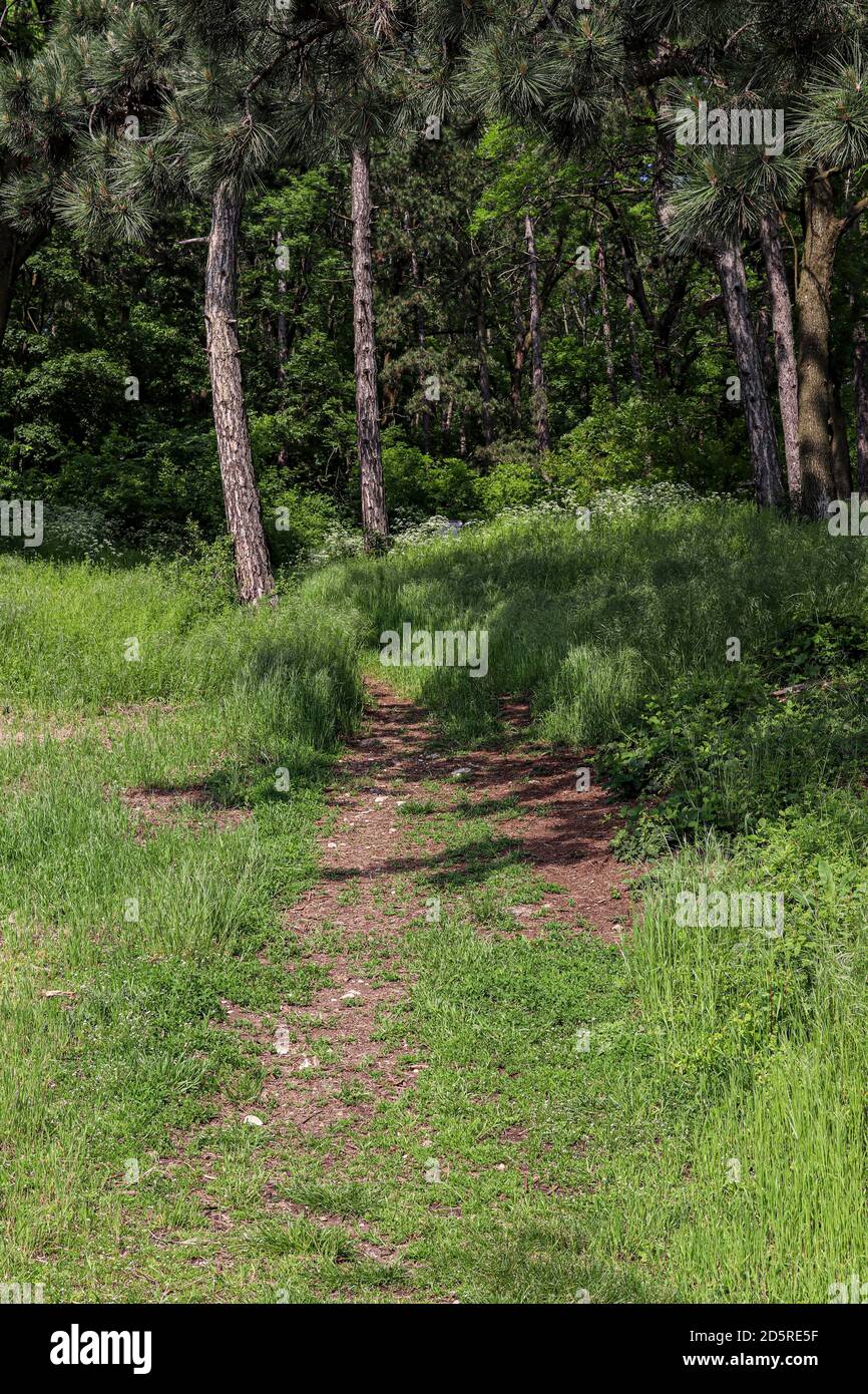 Little carpathian mountains hi-res stock photography and images - Alamy