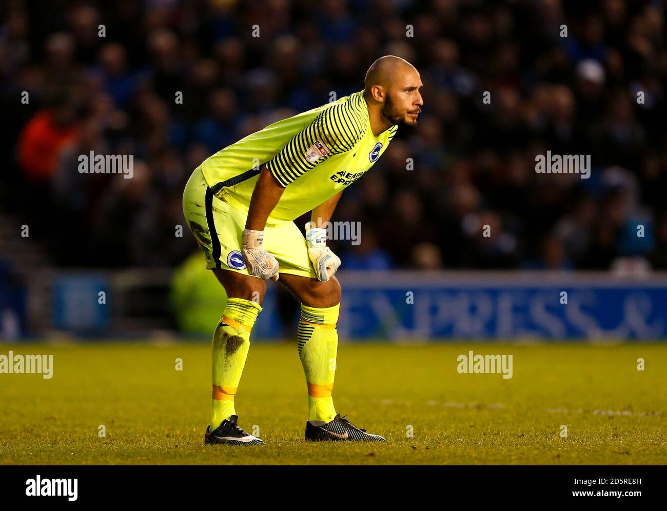 Niki Maenpaa, Brighton & Hove Albion goalkeeper Stock Photo - Alamy