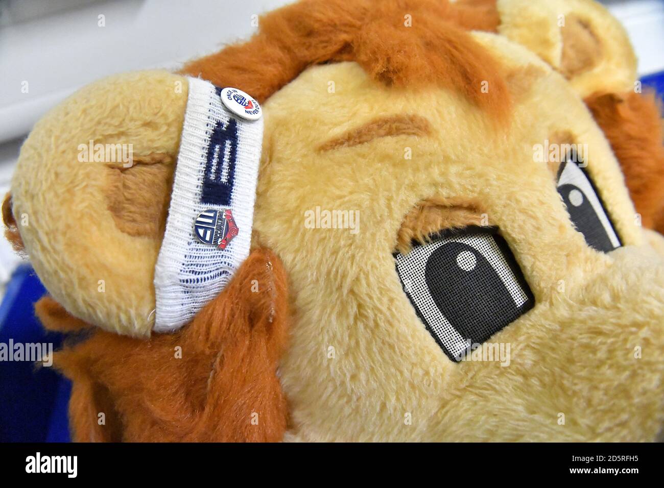 Bolton Wanderers' mascot Lofty the Lion Stock Photo - Alamy