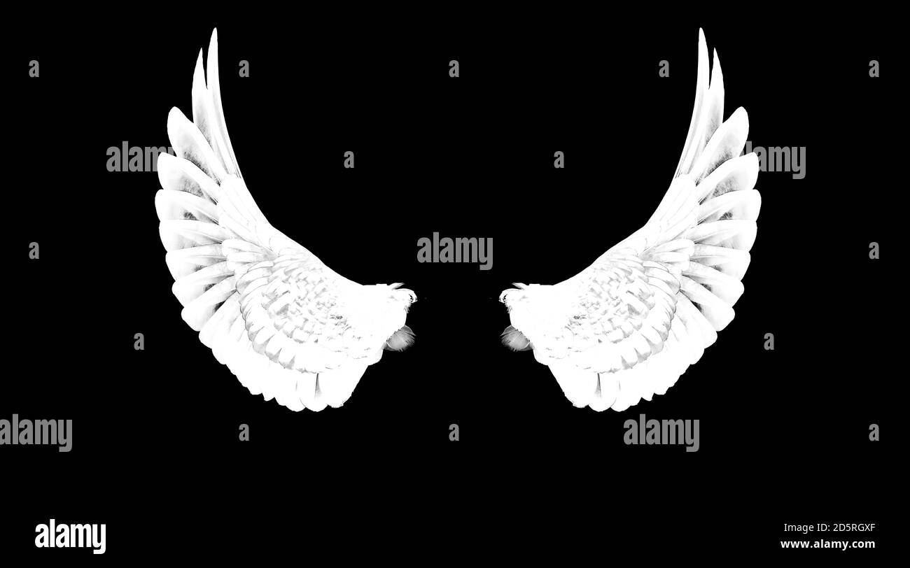 Fluffy angel wings Black and White Stock Photos & Images - Alamy