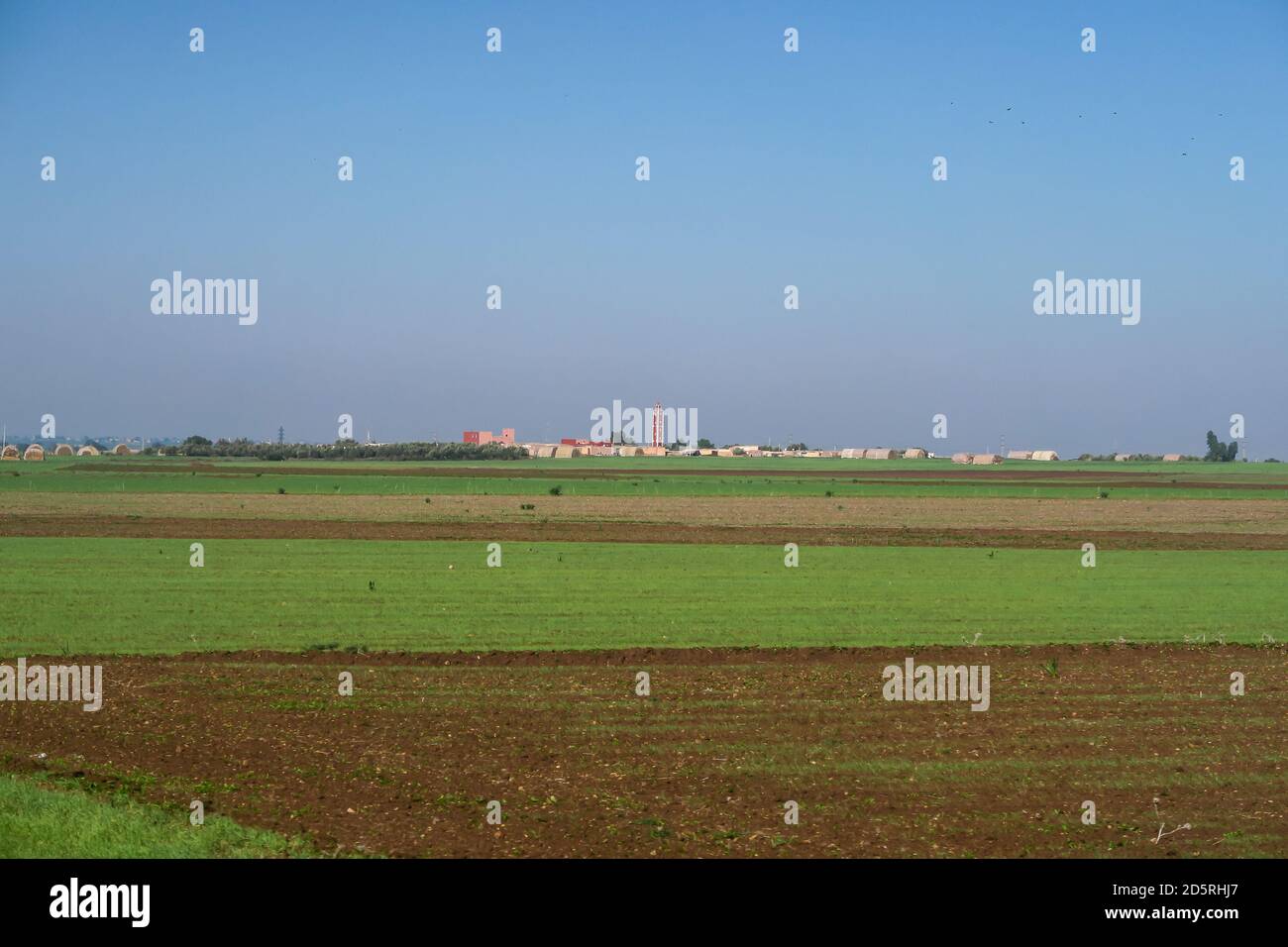 rural landscape with field and blue sky, photo as background Stock ...