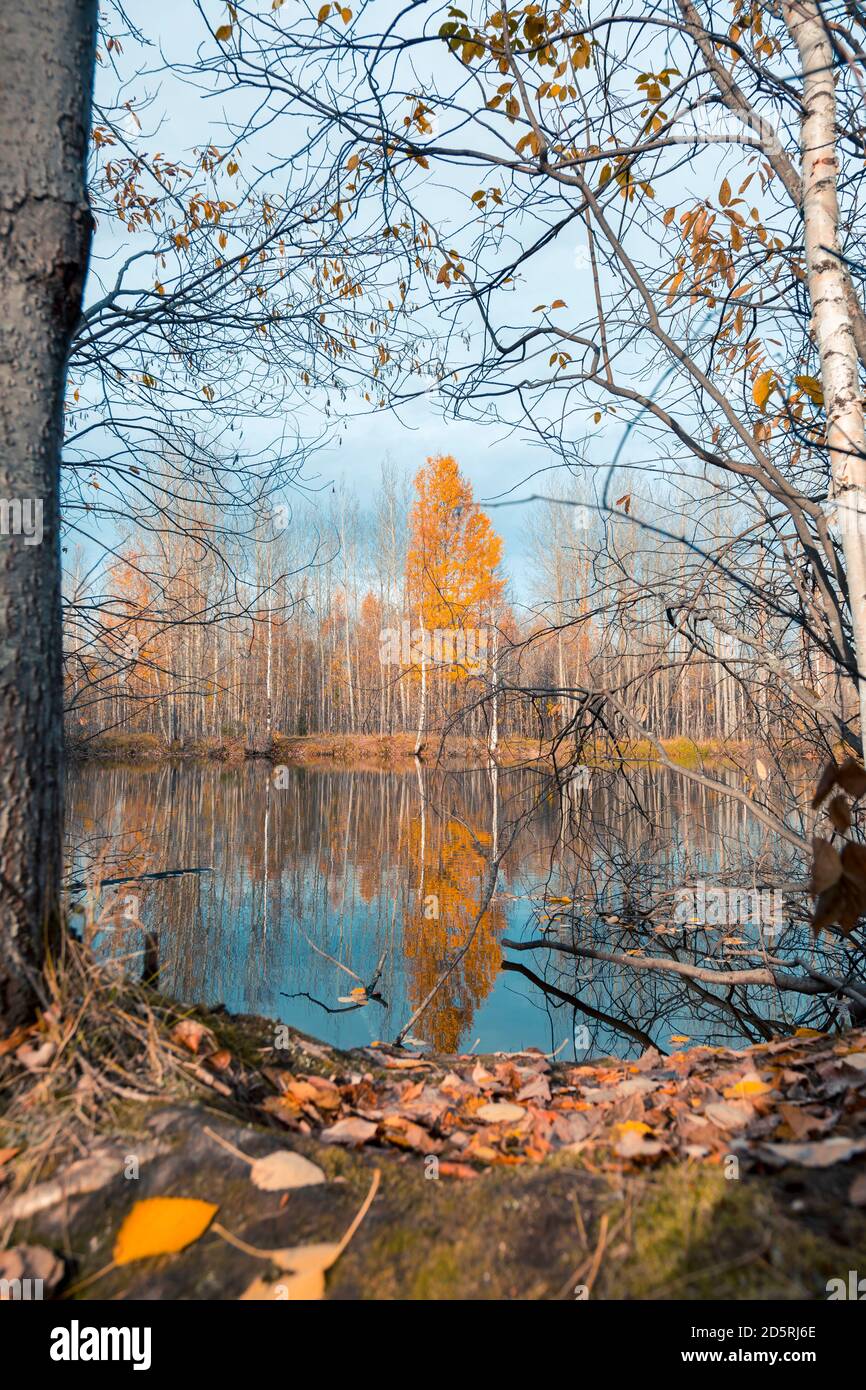 Shrub grass hi-res stock photography and images - Alamy