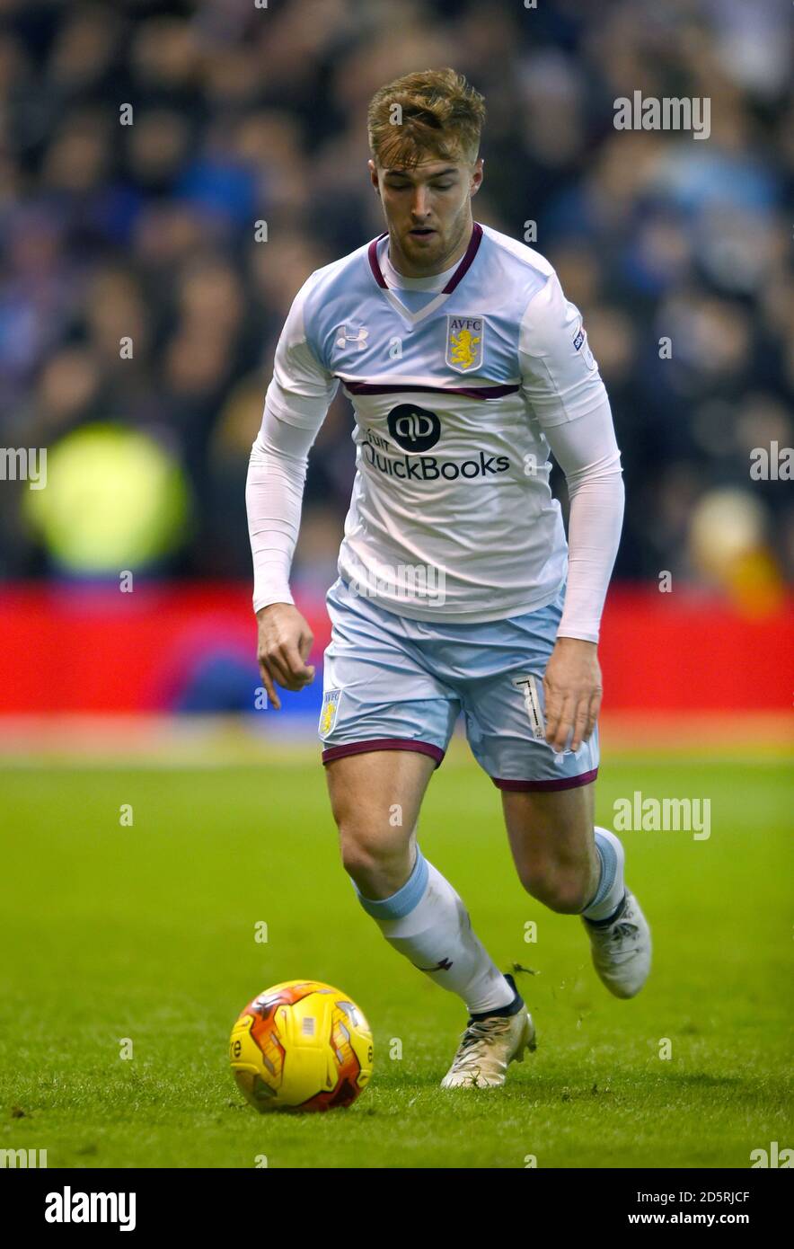 English bree hi-res stock photography and images - Alamy