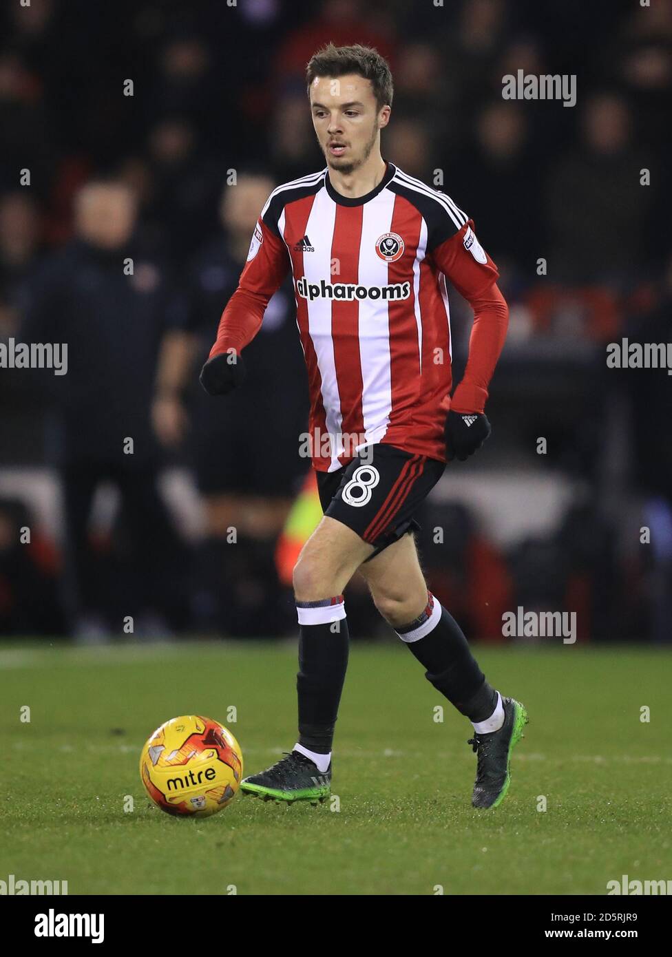 Stefan Scougall, Sheffield United Stock Photo - Alamy