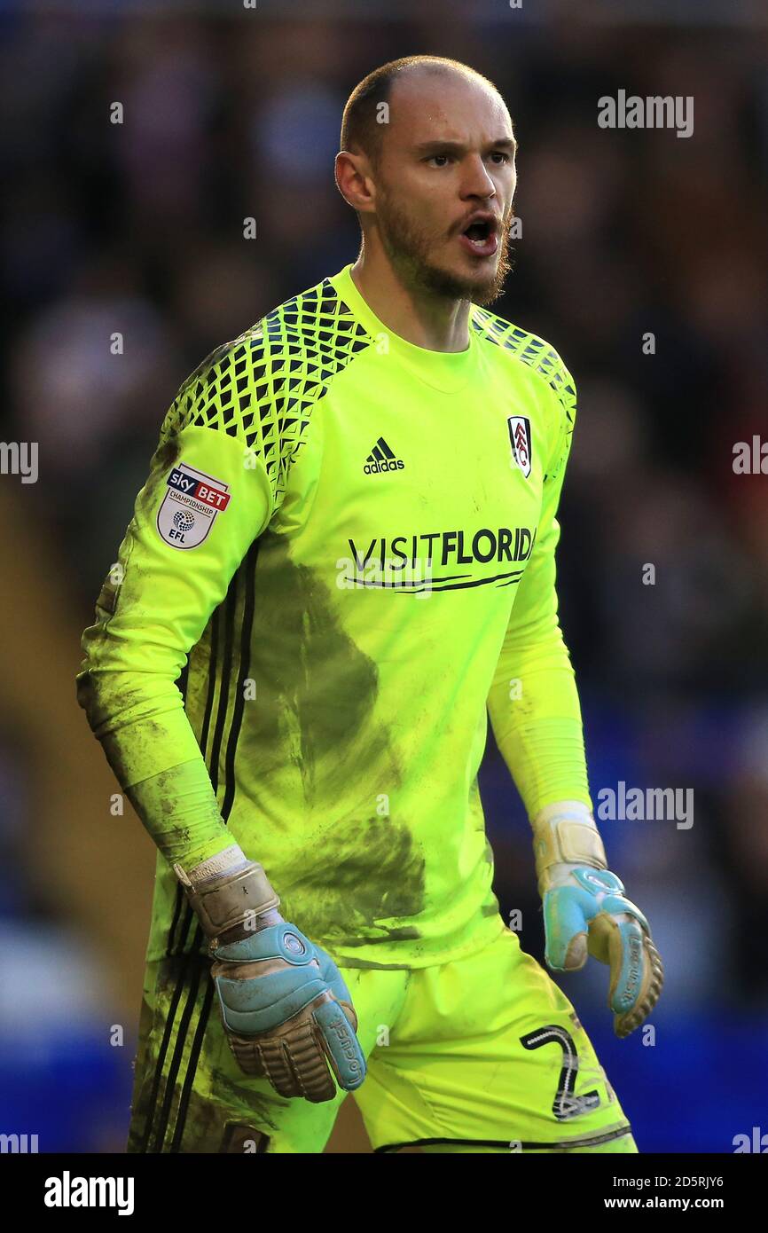 Fulham goalkeeper David Button Stock Photo - Alamy