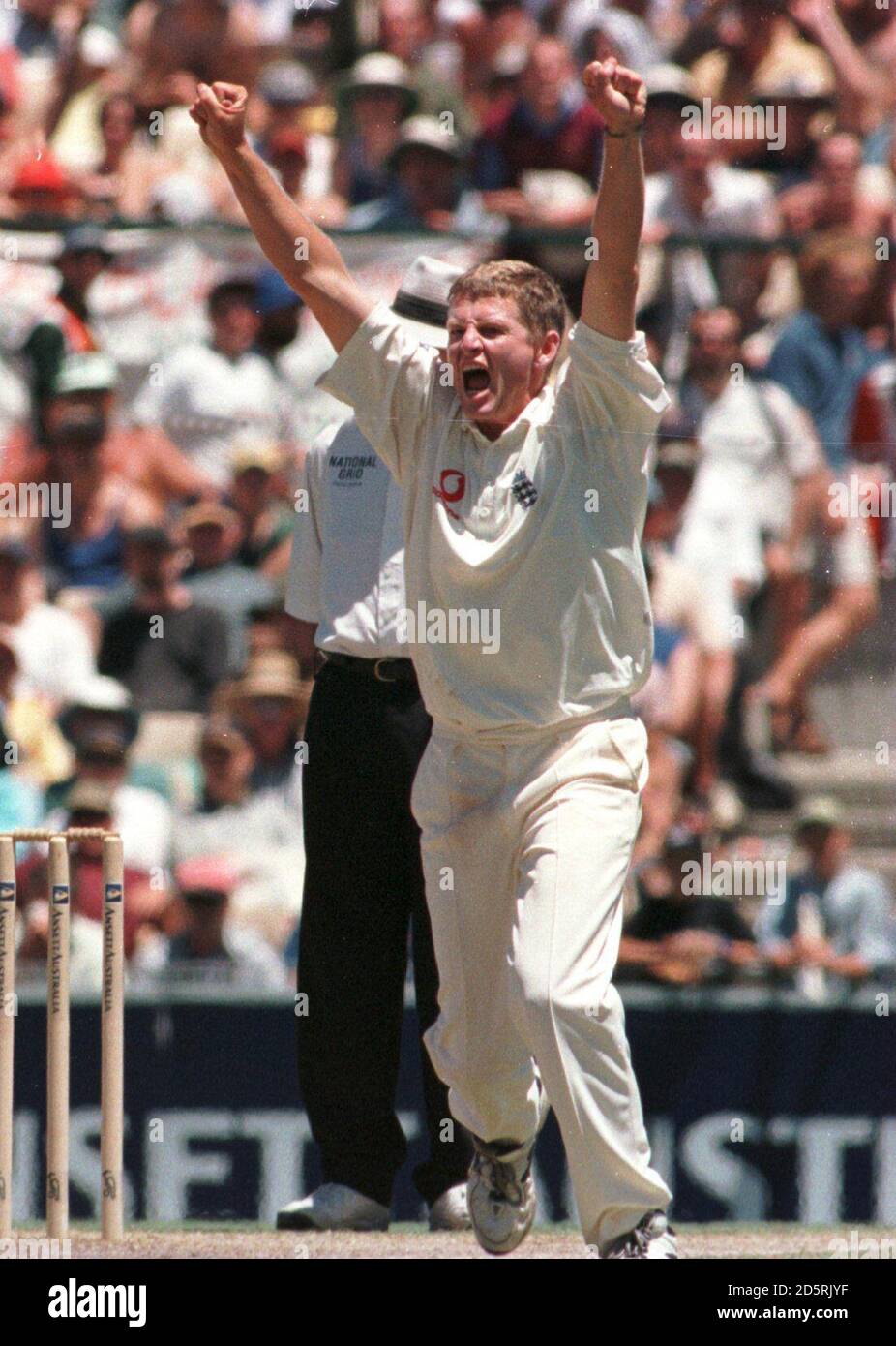 England's Peter Such celebrates the wicket of Australia's Darren ...