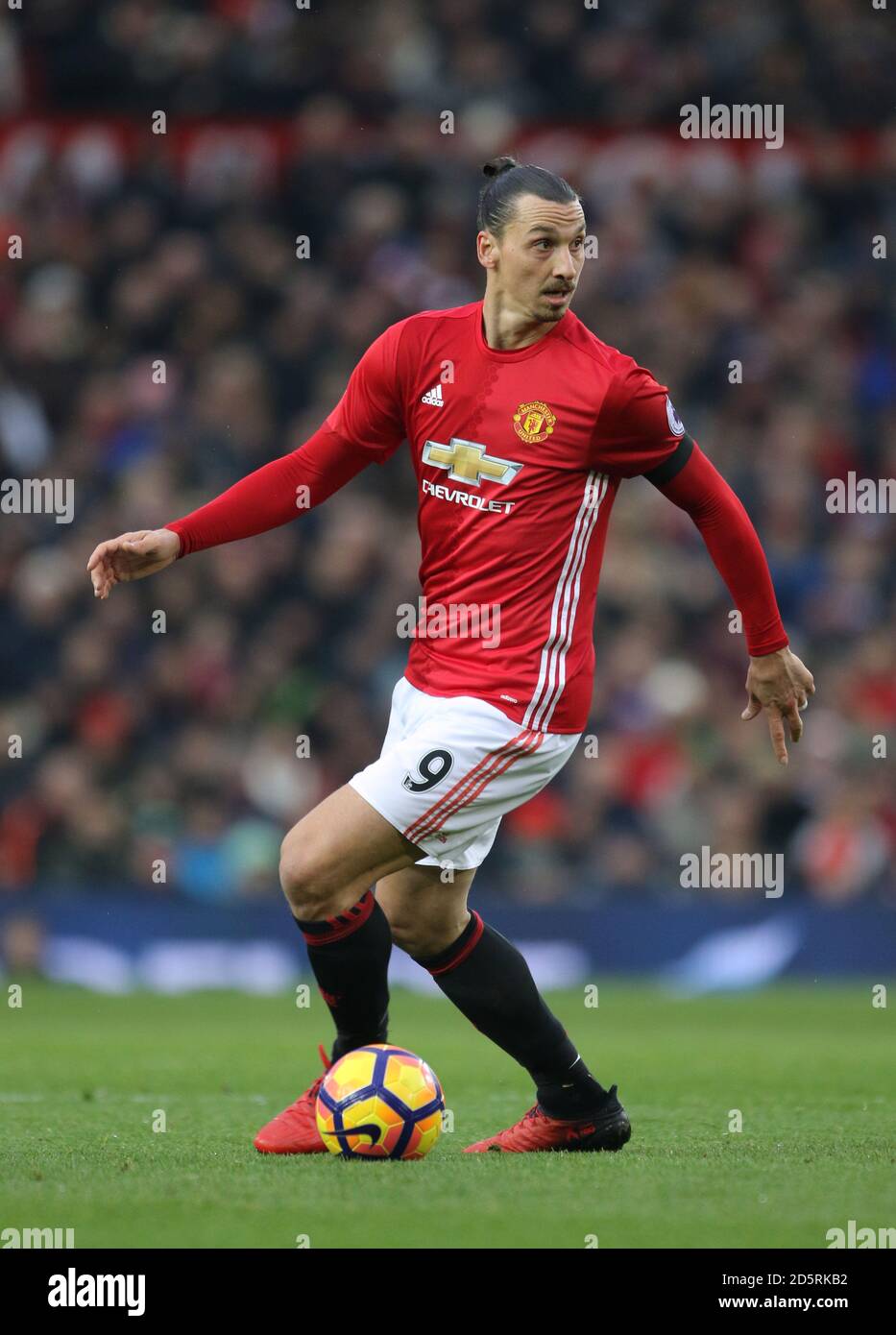 Manchester United's Zlatan Ibrahimovic Stock Photo - Alamy