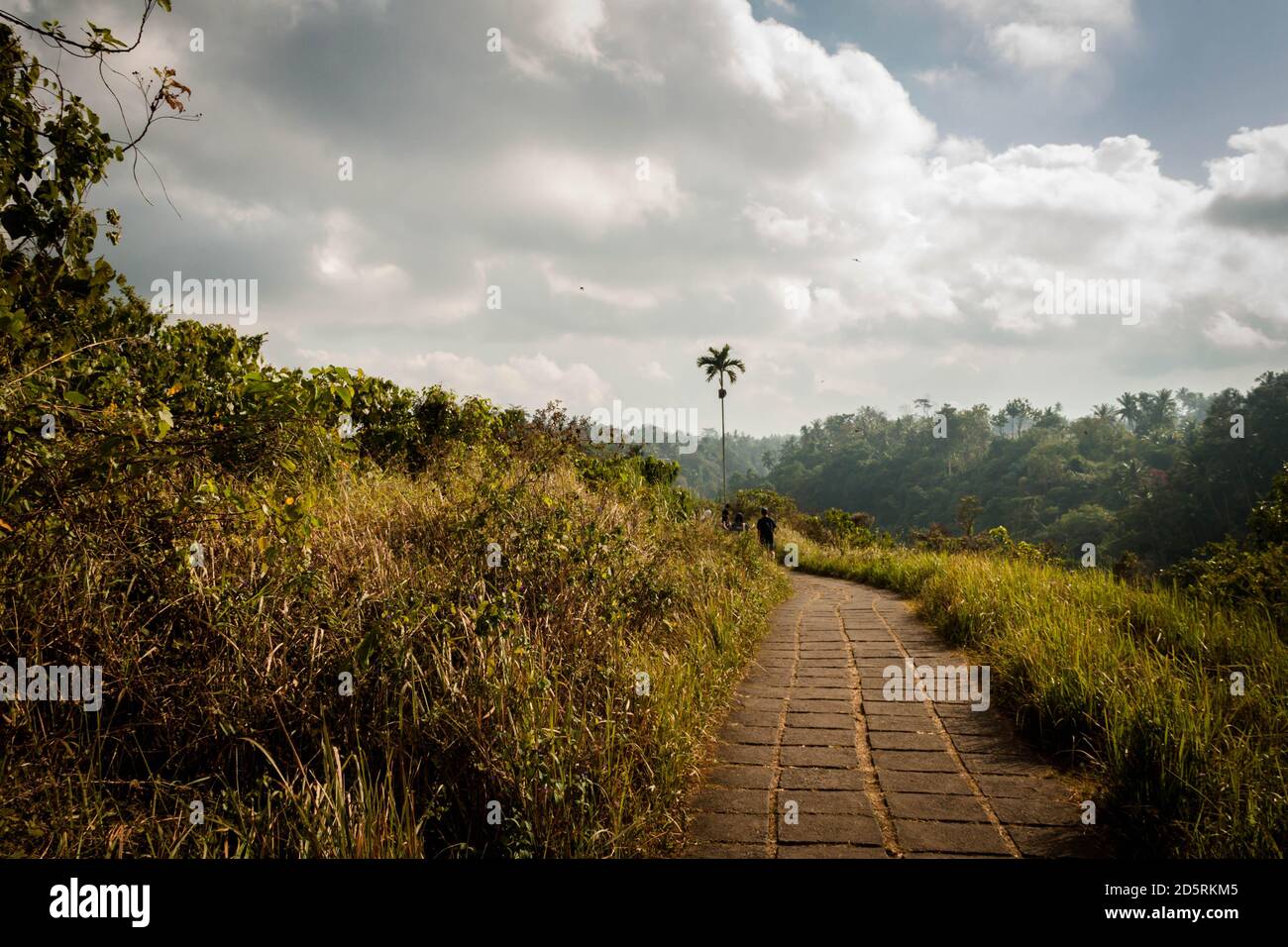 Campuhan Ridge Walk wide angle image Stock Photo - Alamy