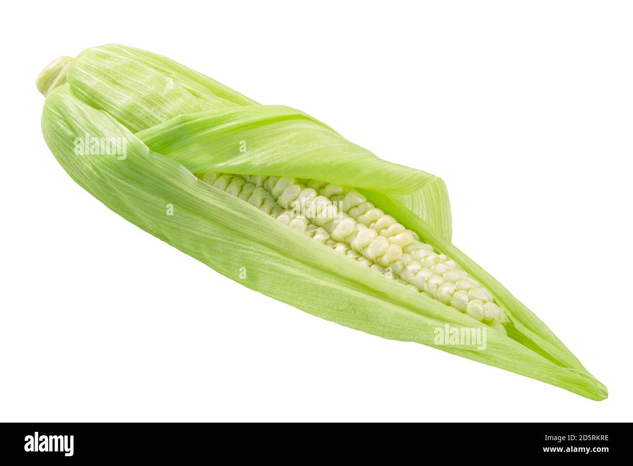 Unripe corn cob or maize, the wrapped seeds exposed, isolated Stock ...