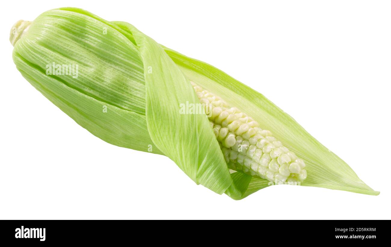 Unripe corn cob or maize, the wrapped seeds exposed, isolated Stock ...