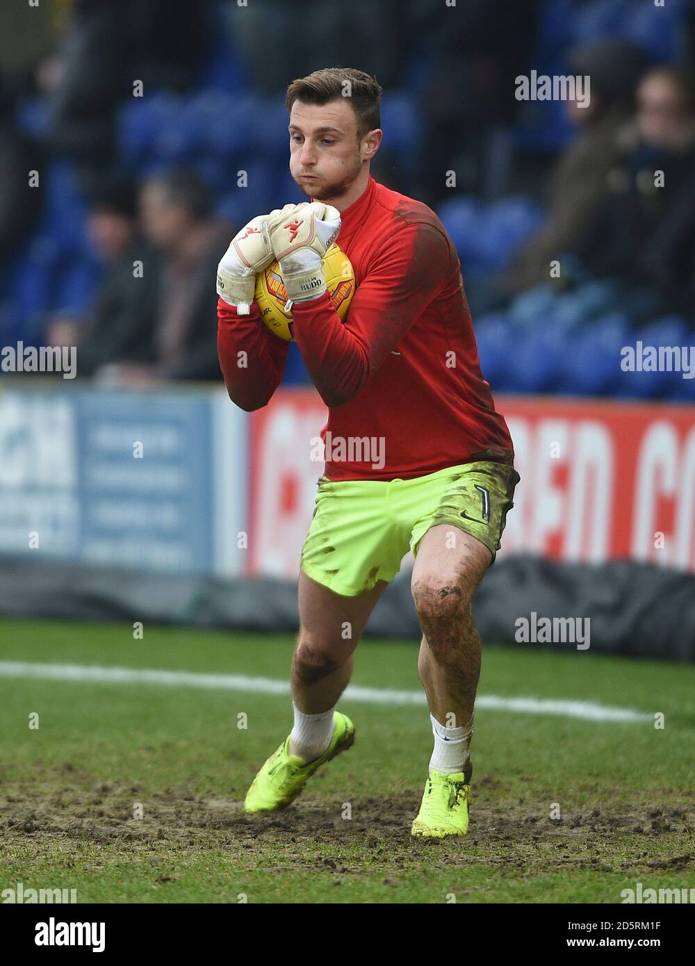 Charlton Athletic goalkeeper Declan Rudd Stock Photo - Alamy