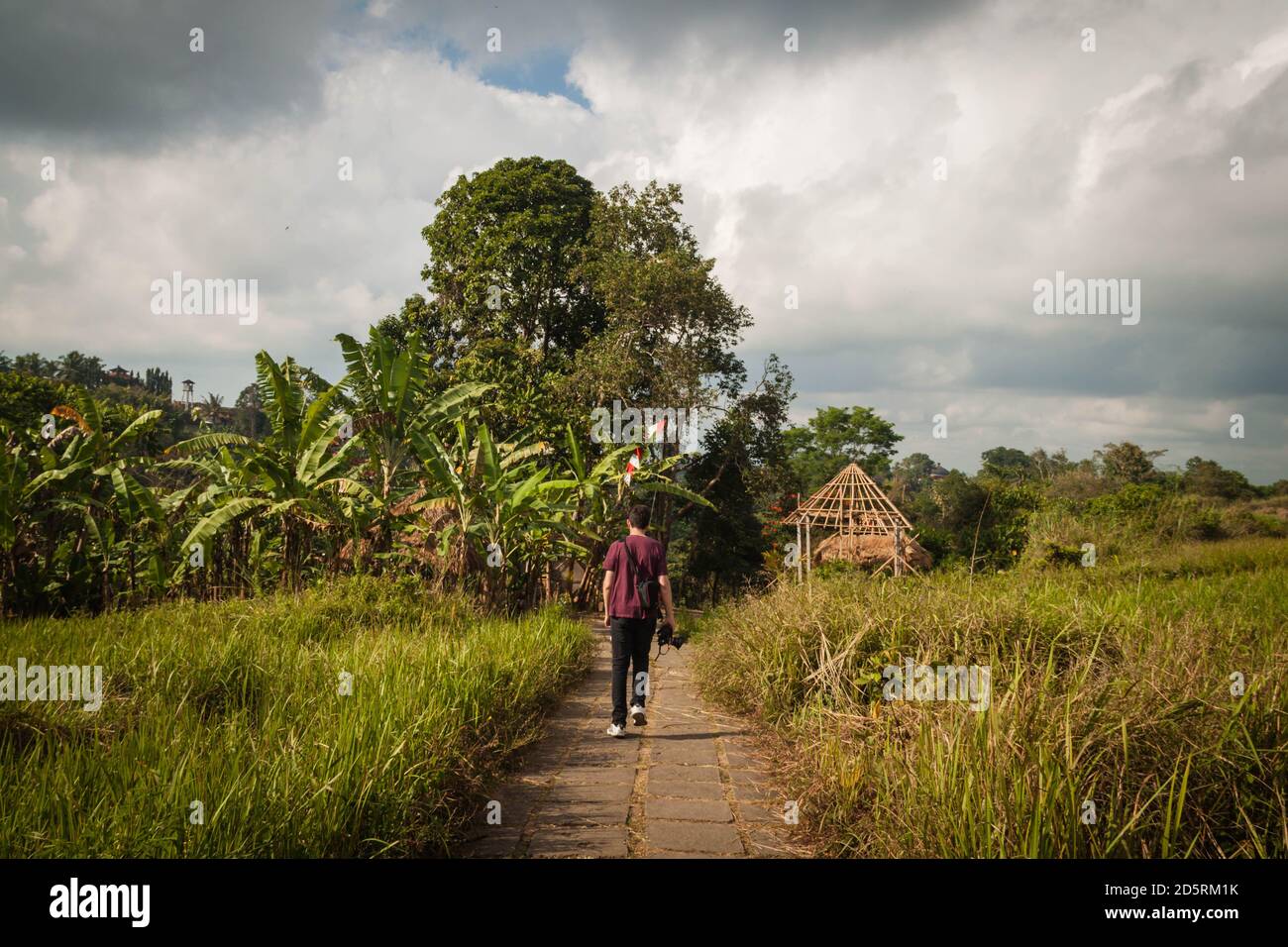 Man walking on Campuhan Ridge Walk in Bali Stock Photo - Alamy