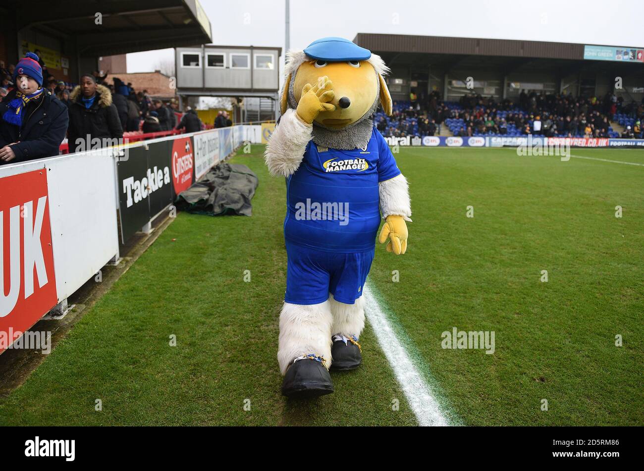 Haydon the womble hi-res stock photography and images - Alamy