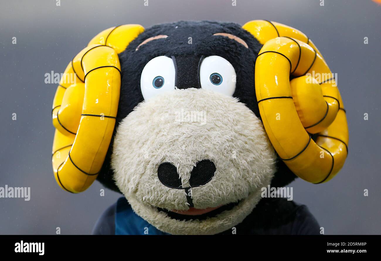 Derby county mascot hi-res stock photography and images - Alamy