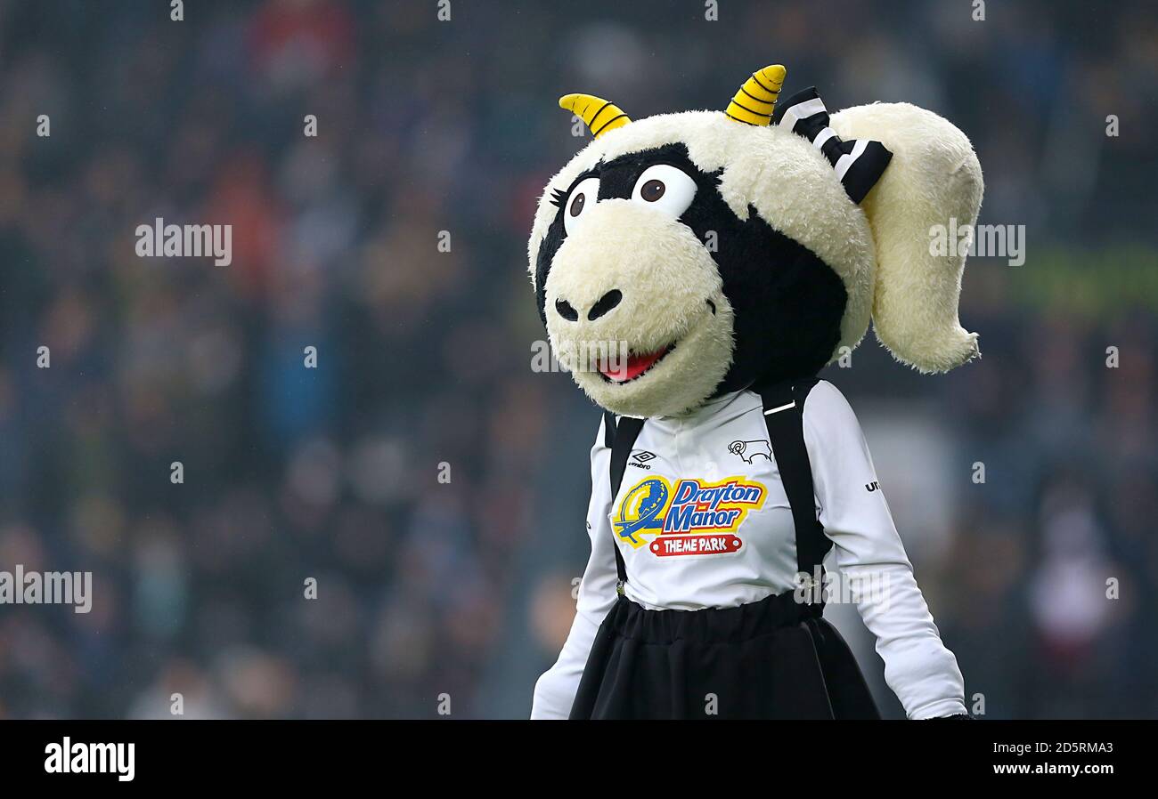 Derby County Mascot Rammie Stock Photo - Alamy