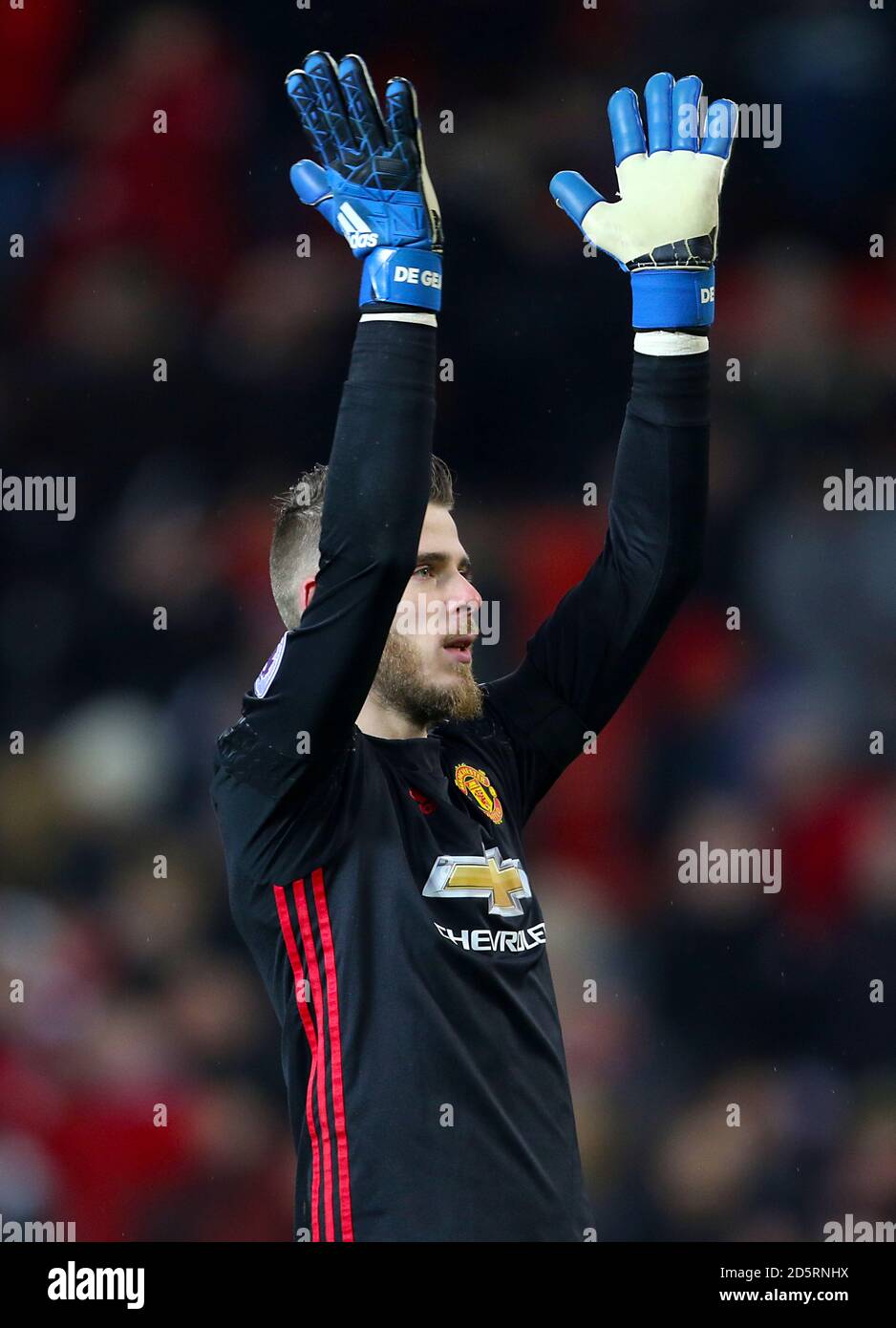 Manchester United goalkeeper David De Gea Stock Photo - Alamy