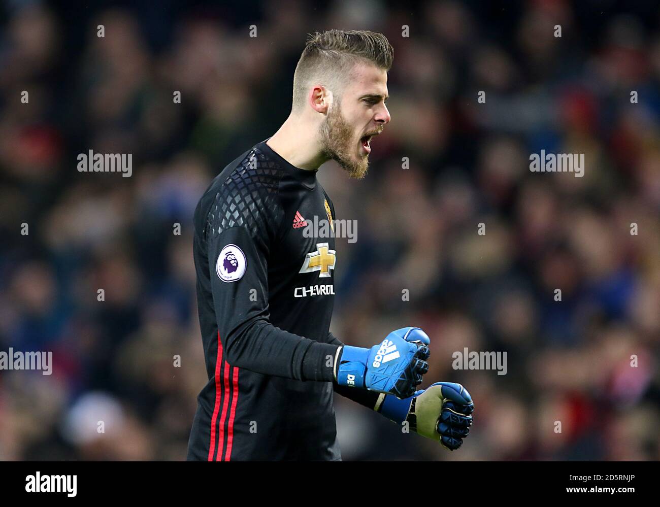 Manchester United goalkeeper David De Gea Stock Photo - Alamy