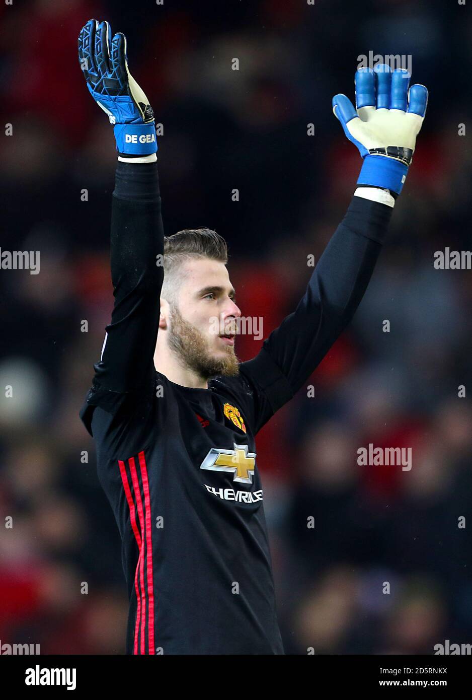 Manchester United goalkeeper David De Gea Stock Photo - Alamy