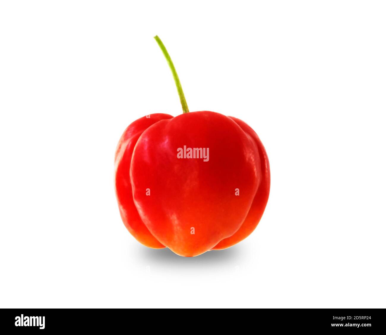 Acerola cherry fruit close up on white background Stock Photo - Alamy