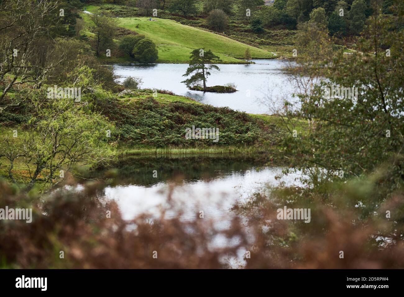Tarn Hows, Ambleside Stock Photo - Alamy