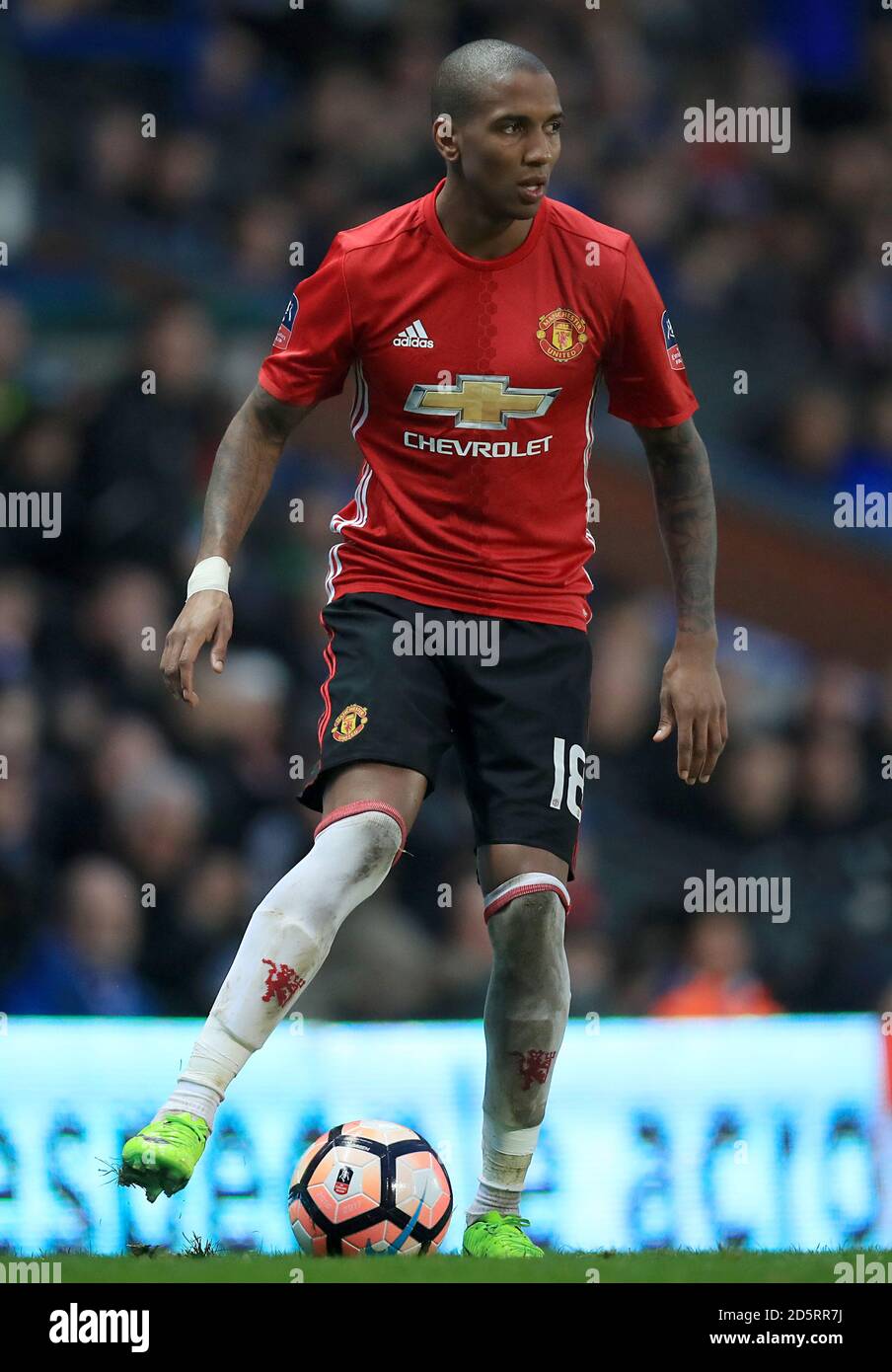 Ashley Young, Manchester United Stock Photo - Alamy