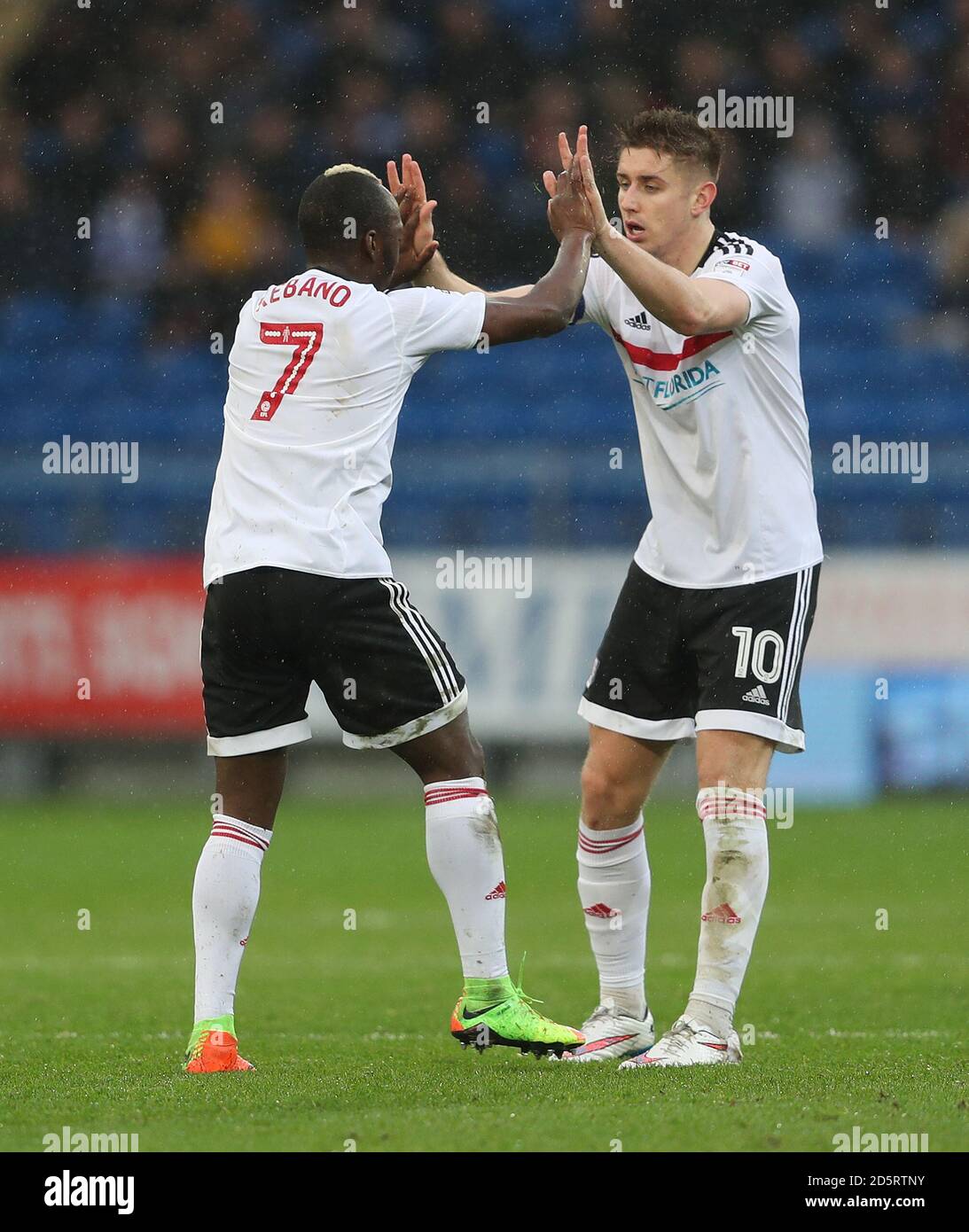 Fulhams neeskens kebano hi-res stock photography and images - Alamy