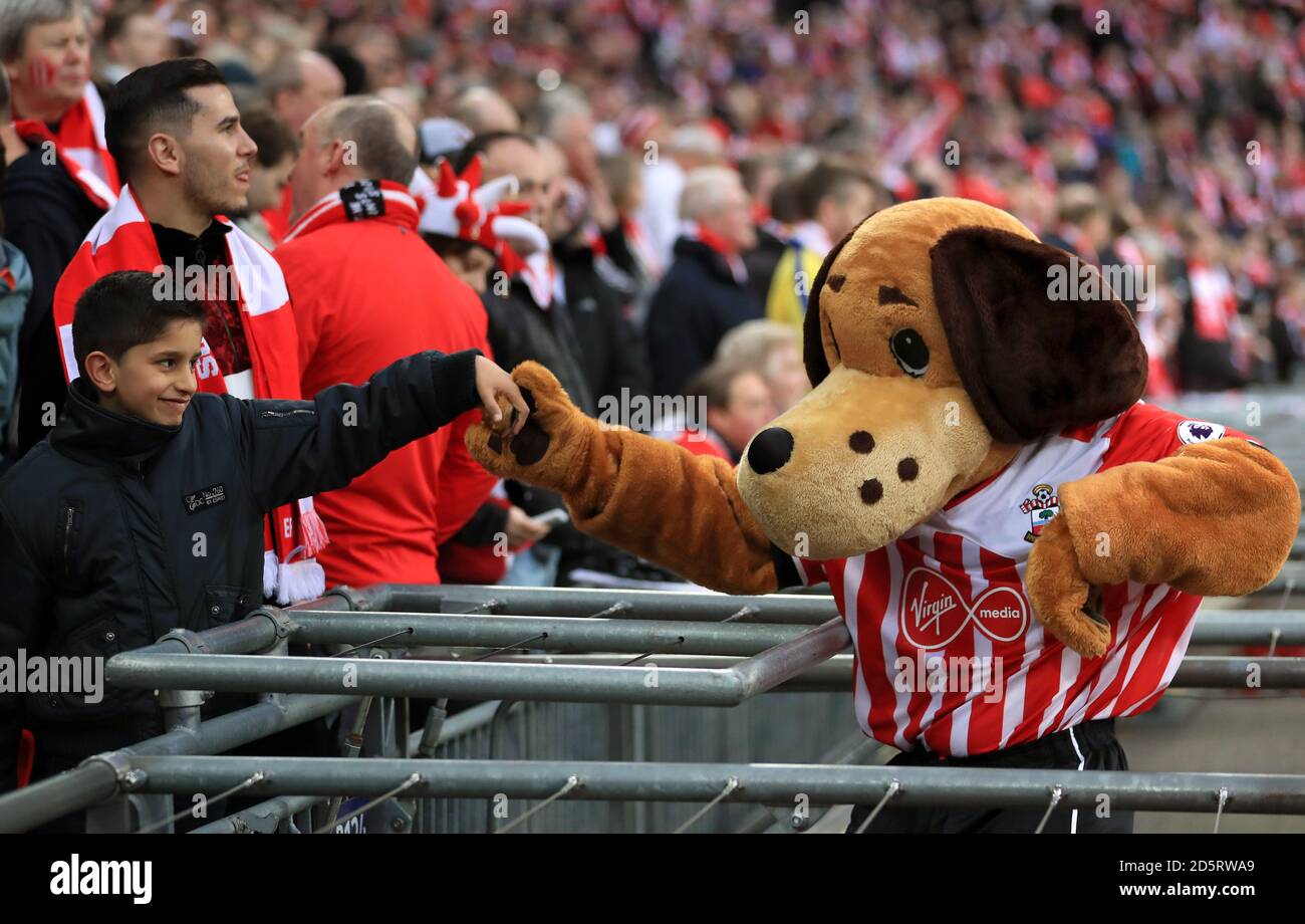 A Southampton fan shakes hands with mascot Sammy Saint Stock Photo - Alamy