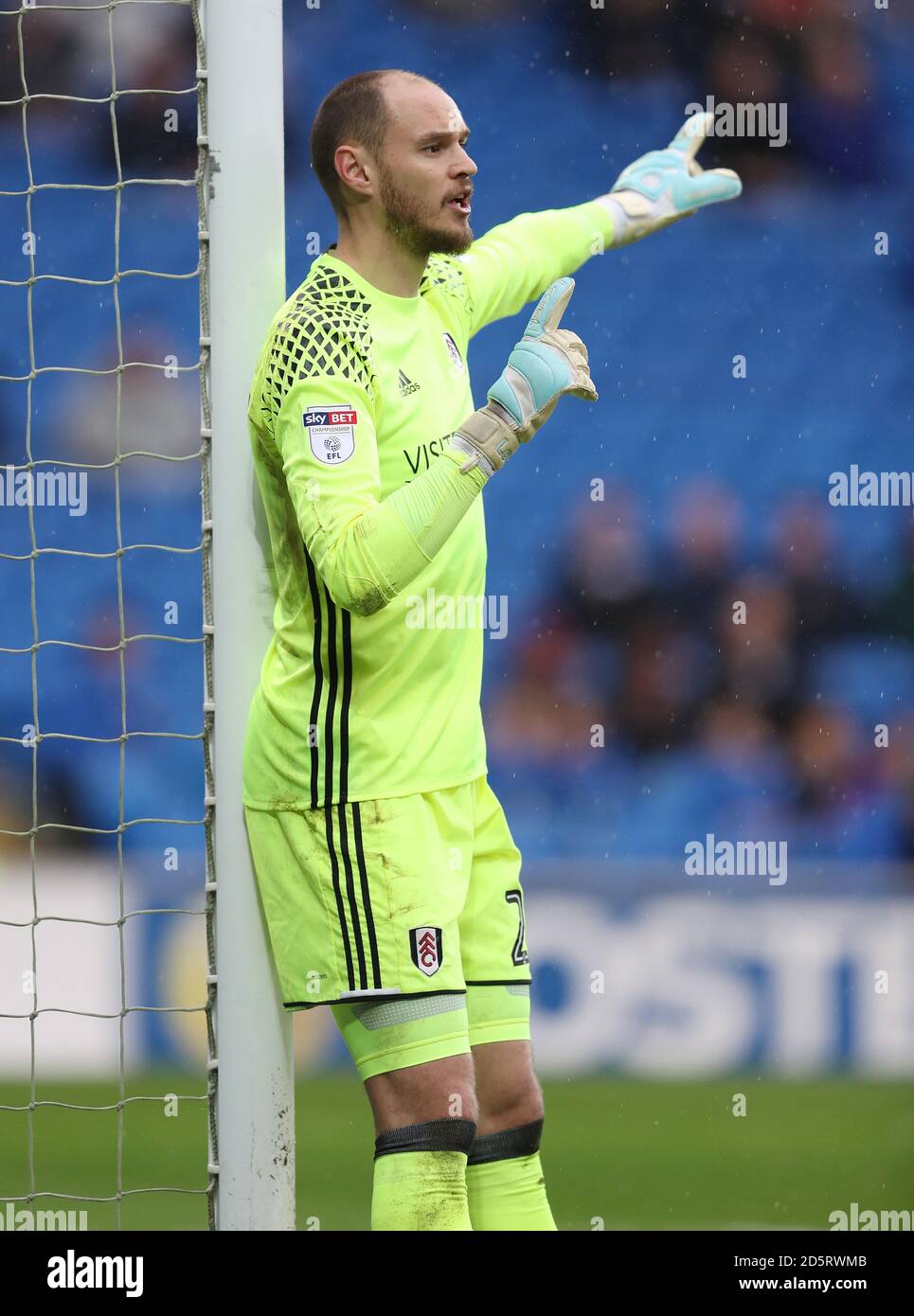 David button football hi-res stock photography and images - Alamy