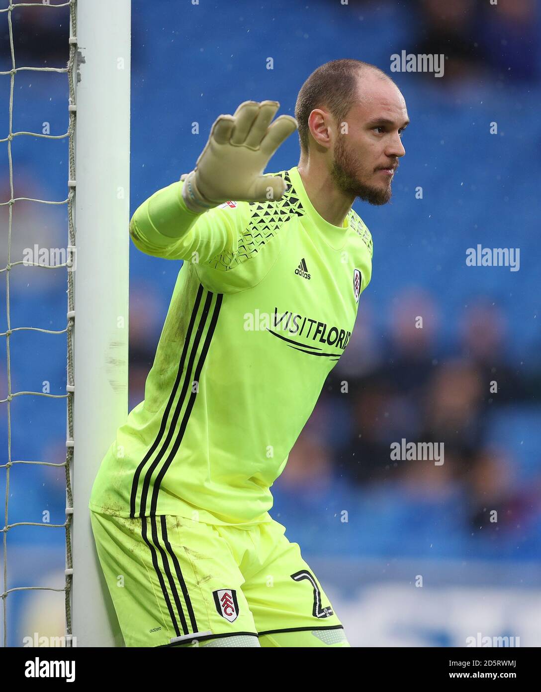 Fulham goalkeeper David Button Stock Photo - Alamy