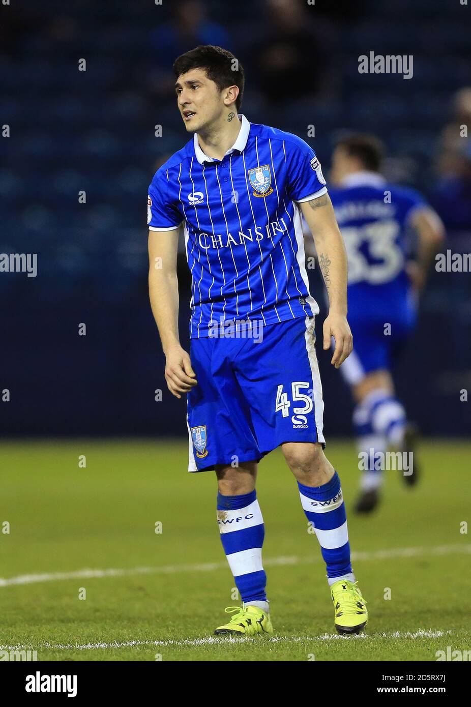 Sheffield Wednesday's Fernando Forestieri Stock Photo - Alamy