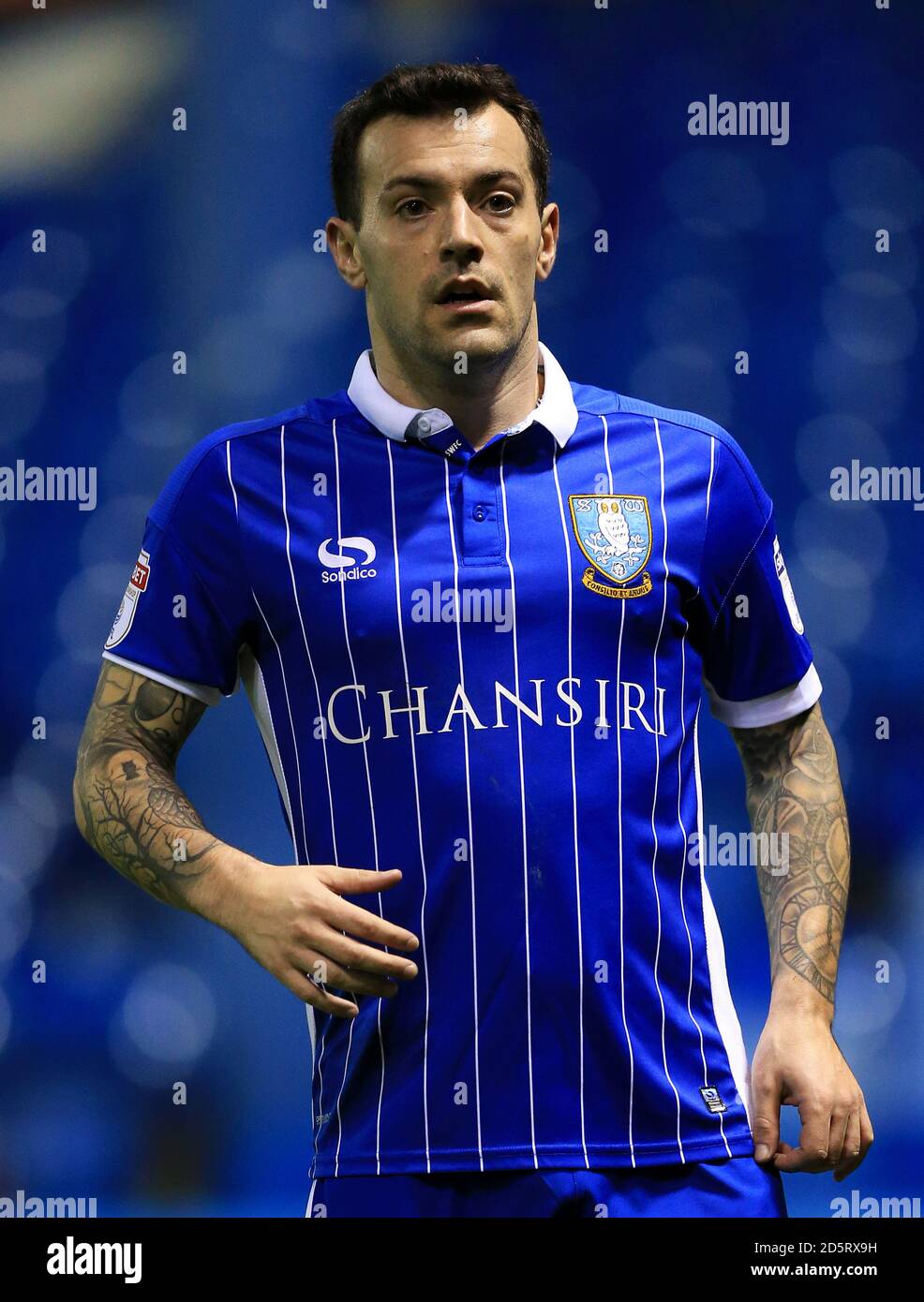 Sheffield Wednesday's Ross Wallace Stock Photo - Alamy