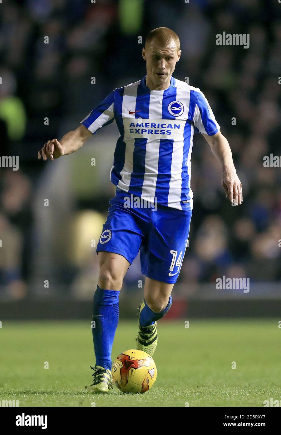 Steve brighton hove hi-res stock photography and images - Alamy