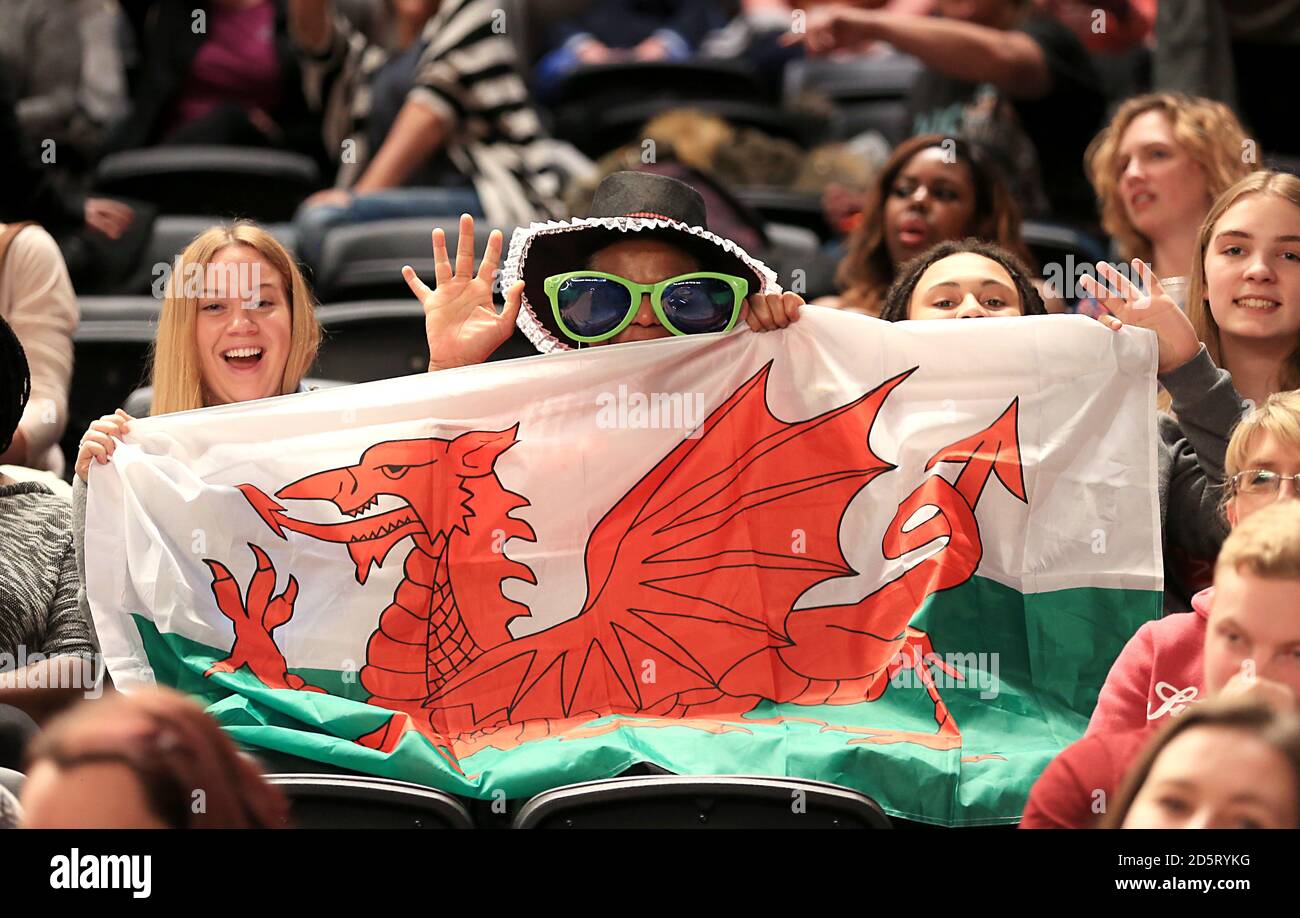 Fans wave a flag in the stands Stock Photo - Alamy
