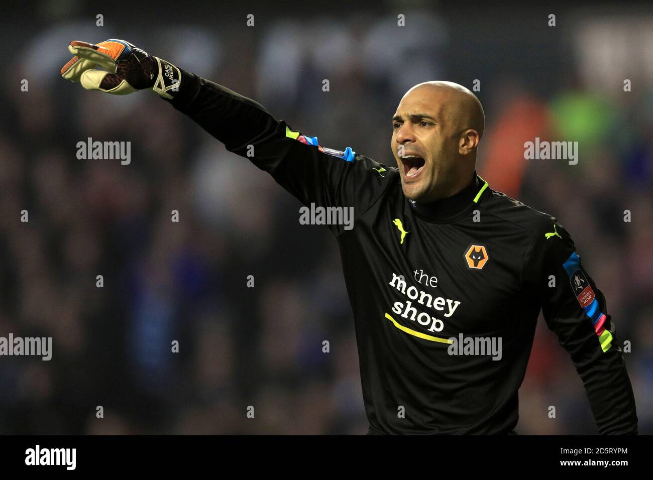 Wolverhampton Wanderers goalkeeper Carl Ikeme Stock Photo - Alamy