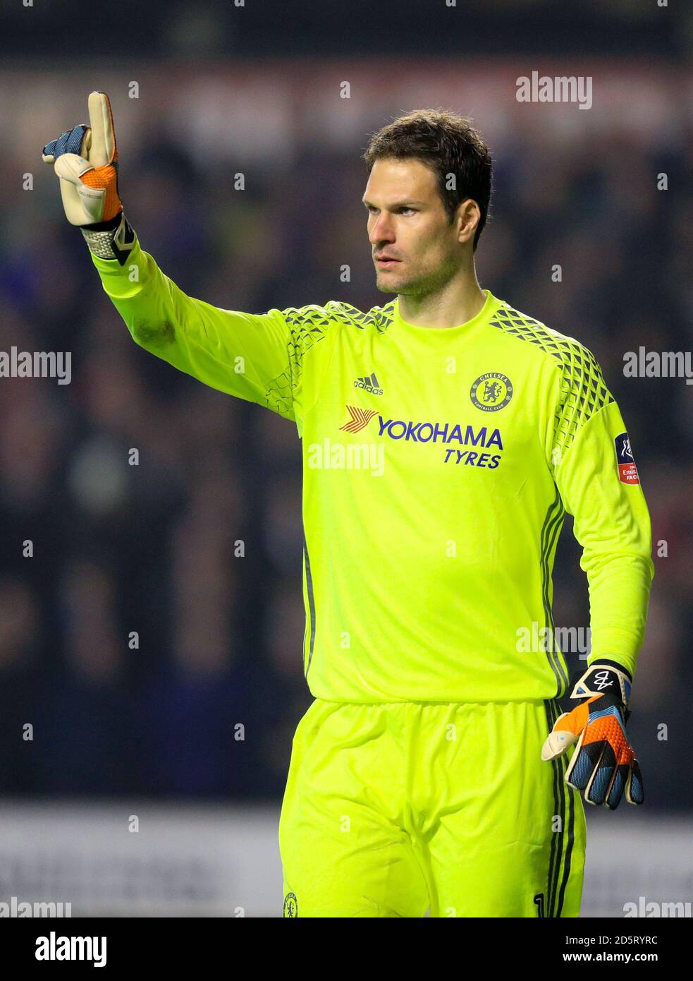 Chelsea goalkeeper Asmir Begovic Stock Photo - Alamy